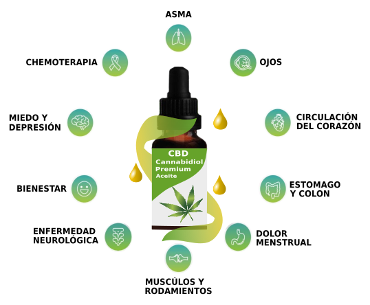 CBD - Cannabidiol - Cannabis Medicinal - Aceite Premium